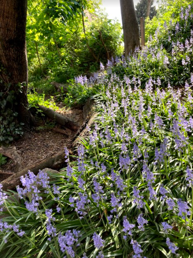 Visit & Contact Us – Prospect Farm