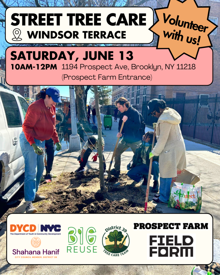 Neighborhood Street Tree Care Event 6/13 @ 10am – Prospect Farm